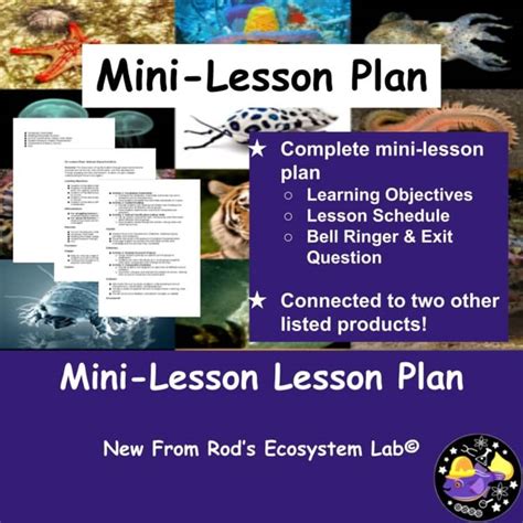 Digestive System In Animals Mini Lesson Plan Editable By Rods
