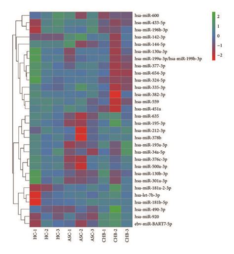 Hierarchical Cluster Analysis Of The Differentially Expressed Mirnas