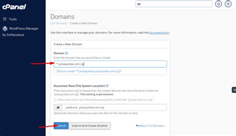 Do We Support Wildcard Subdomains