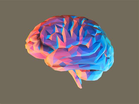 Does Your Brain Reflect Your Sex — Harvard Gazette