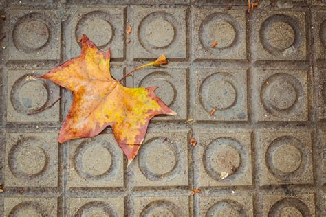 How To Use Focal Points For Powerful Photography Composition
