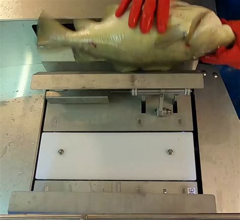 Yolov Bbox Object Detection Dataset By FollaAnnotations