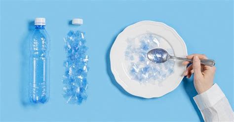 생수 마실 때 미세플라스틱 꿀꺽 뇌 태반에도 쌓인다