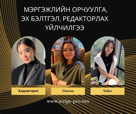 Script Pro Мэргэжлийн орчуулга Эх бэлтгэл