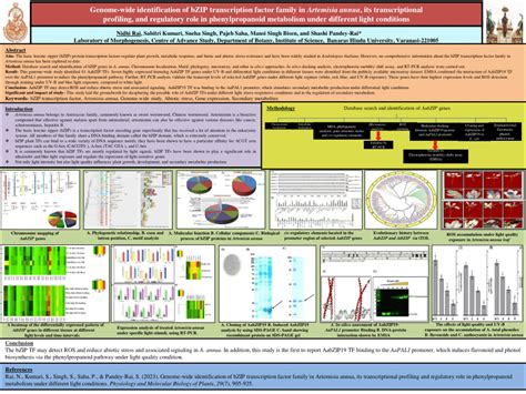 PDF Genomewide Identification Of BZIP Transcription Factor Family In Artemisia Annua Its