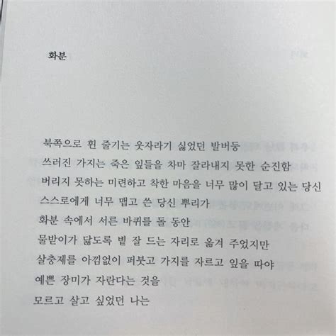 모르고 살고 싶었던 나는 2024 영감을 주는 인용구 사랑에 대한 명언 인용문