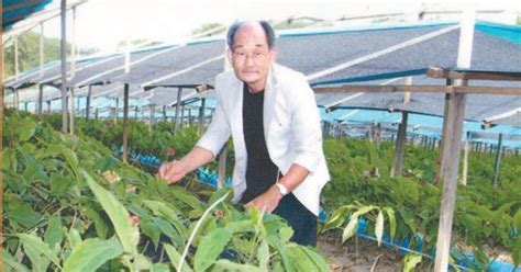 Issueand 농업 현장에 유기농법 적용 안전한 기능성 농작물 생산에 기여