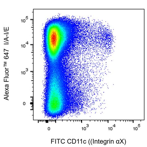 Fitc Armenian Hamster Anti Mouse Cd11c Integrin αx