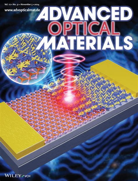 Advanced Optical Materials Vol 12 No 31