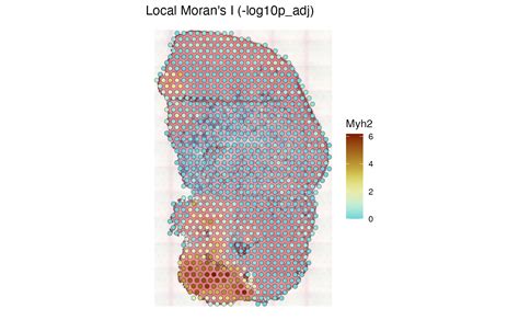Spatial Visium Exploratory Data Analysis • Voyager