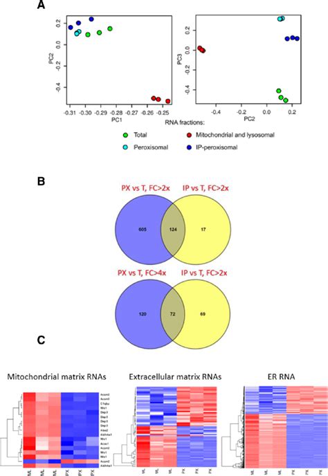 Microarray Analysis Of Peroxisomal Rna A Principal Component Analysis