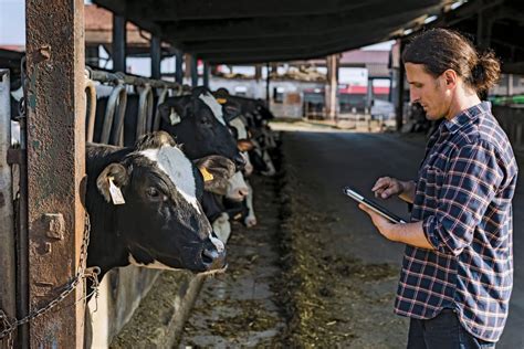Livestock Record Keeping Benefits Challenges And Solutions