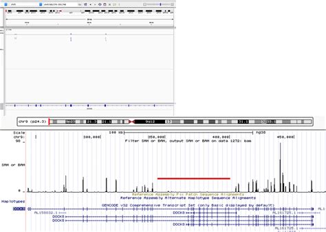 Whole Exome Sequencing Visualization On Integrative Genomics Viewer