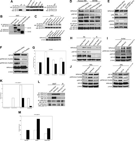 Physical Association And Reciprocal Functional Interactions Between Download Scientific Diagram
