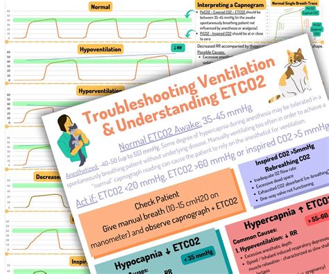Printable Veterinary Etco2 Capnography Guide Etsy