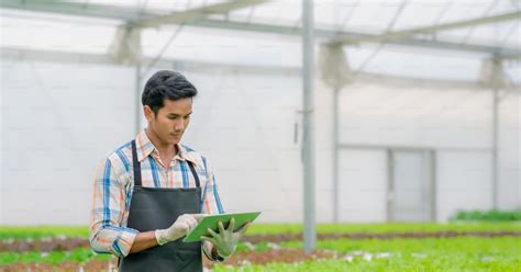 수경 온실 야채 샐러드 농장 시스템을 제어하기 위해 디지털 태블릿을 사용하는 행복한 아시아 남자 농부 사진 Unsplash의 재배지 이미지