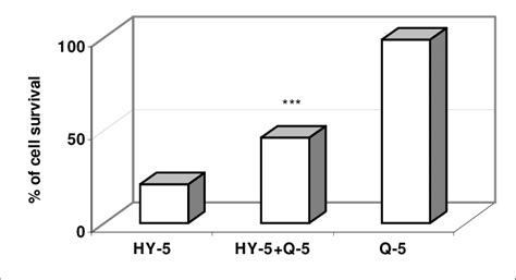 The Cytotoxic Effect Of Hypericin Was Observed At 10 5 Mol L 1