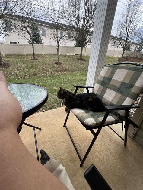 Python Coding Challenge Pythonchallenge 100daysofpython Mahnaz