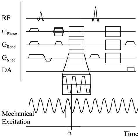 mre pulse sequence diagram motion sensitizing gradients are inserted