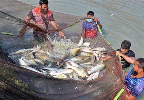 Gallery Syntax Global Ltd