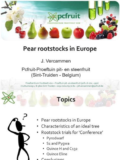 Pear Rootstocks In Europe Pdf Pdf