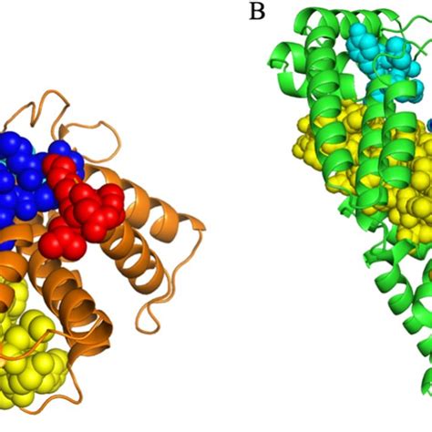 Spatial Structure Models And Domain Analysis Of Fpps Gene A 7bux 1 A