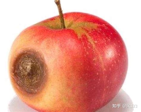 坏掉的苹果变废为宝，样样都是神器！ 知乎