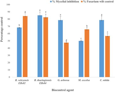 Comparative In Vitro And In Vivo Biocontrol Efficacy Of Antifungal Download Scientific Diagram