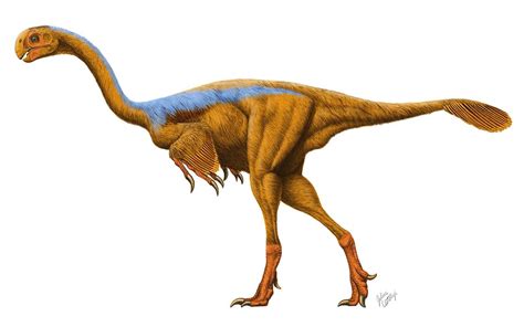 Gigantoraptor Prehistoric Wiki Fandom