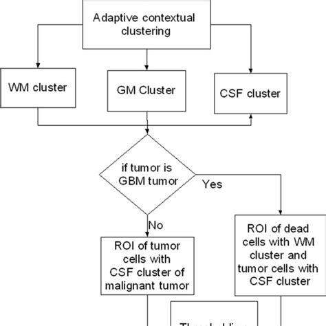 Automatic Malignant Brain Tumor And Glioblastoma Brain Tumor Detection