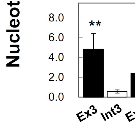 Java Library To Segment And Classify Binary Or Grayscale Images
