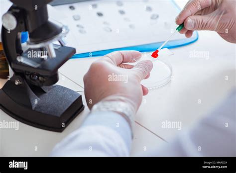 Drug Synthesis Lab Experimentnig With Pills Stock Photo Alamy