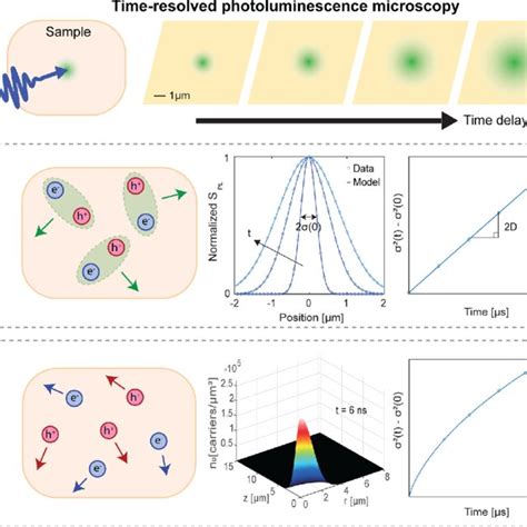 A Schematic Of The Time Resolved Photoluminescence Microscopy Tplm Download Scientific