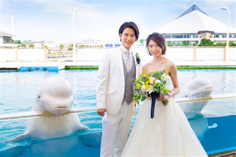 あつ森×水族館 第2弾 仙台うみの杜水族館コラボイベント開催｜あとなびマガジン
