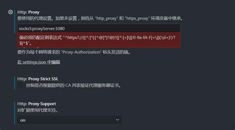 VSCode如何配置SOCKS 代理