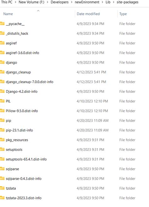 Django There Are Several Packages Installed In My Virtual Environment