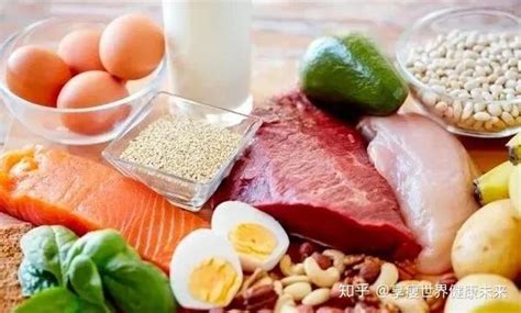 减肥期间，为什么要补充蛋白质？ 知乎