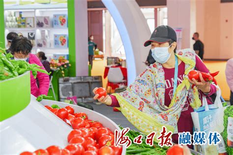 2022年12月19日海口日报高清速览 见习 海南 发展