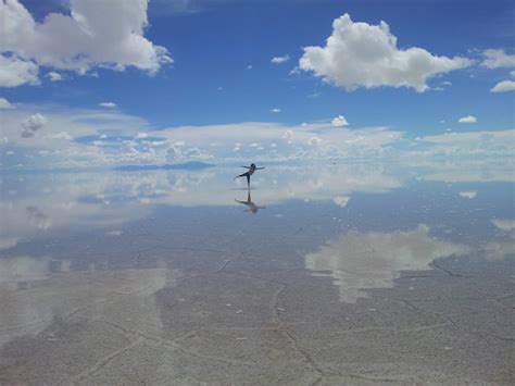 코로나 백신 접종 증명서 Pdf로 출력하는 법 Coov And 질병청 앱