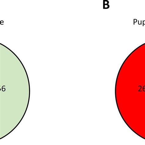 Summary Statistics Of Sex Specific Genes From Female And Male Cx