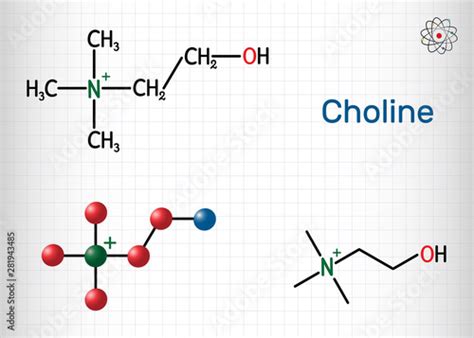 Choline Chemical Formula Brain Mind Article