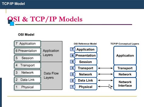 Ppt Protocol Suits And Layering Models Powerpoint Presentation Free