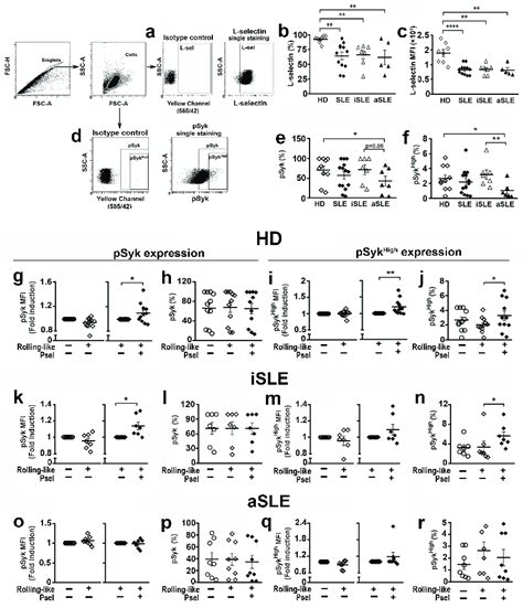Expression Of L Selectin And Psyk In Neutrophils From Healthy Donors Download Scientific