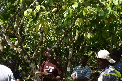 Ghanas Csir Sri Pilots Remote Sensing For Fertilizer Application On
