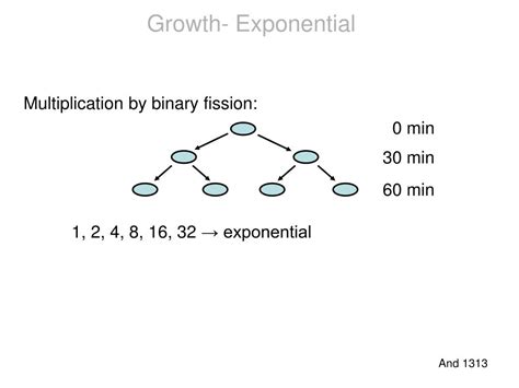 Ppt Microbial Growth Overview Of Terms Exponential Growth U Td Productivity Powerpoint