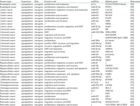 Functional Characterization Of H19 In Digestive System Tumors Download Scientific Diagram