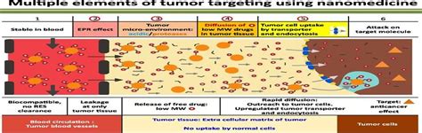 Multiple Elements Showing The Importance Of The EPR Effect For The Download Scientific Diagram