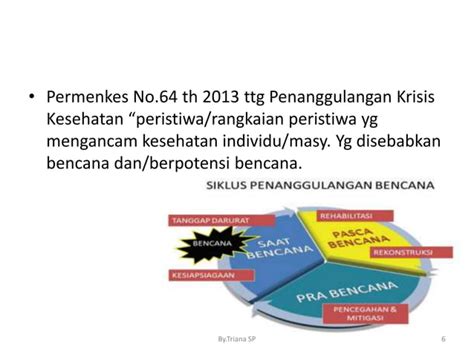 Ppam Remaja Ppt