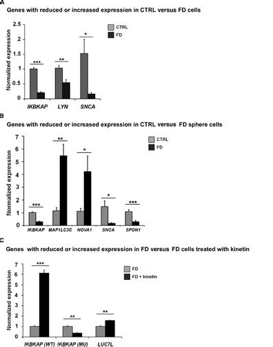 Validation Of Microarray Candidates By Rt Qpcr Rt Qpcr Using Total