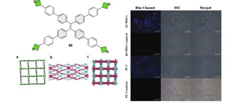 Structure Of 56 A C Packing Framework Along The Layers Of Bi Tcbpe